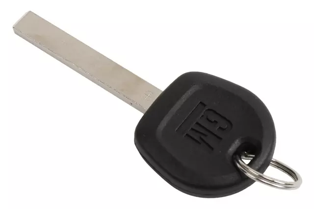 Door Lock and Ignition Lock Key 13531099 GM | GMPartsDirect.com