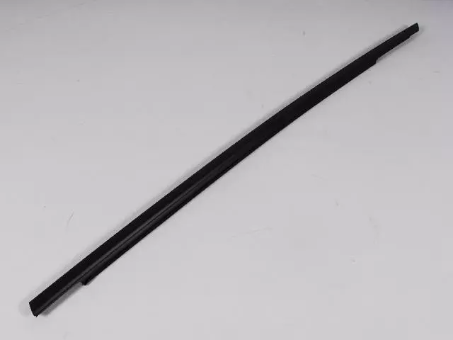 2011-2023 Dodge Charger Front Door Belt Weatherstrip, Left, Outer ...