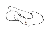 68494439AA - Front Fascia Wiring 2021-2023 Dodge Durango | Bam ...