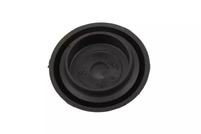 Door & Components for 2025 Chevrolet Silverado 1500 | GMPartsDirect.com