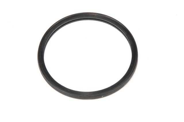 Seal (Replaces Part Number 98280281) 12680544 | GMPartsDirect.com
