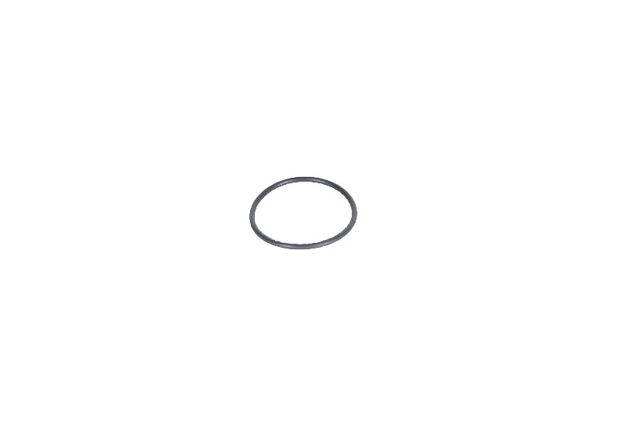 2007-2022 GM Fuel Pump O-Ring 12600313 | GM Parts Center