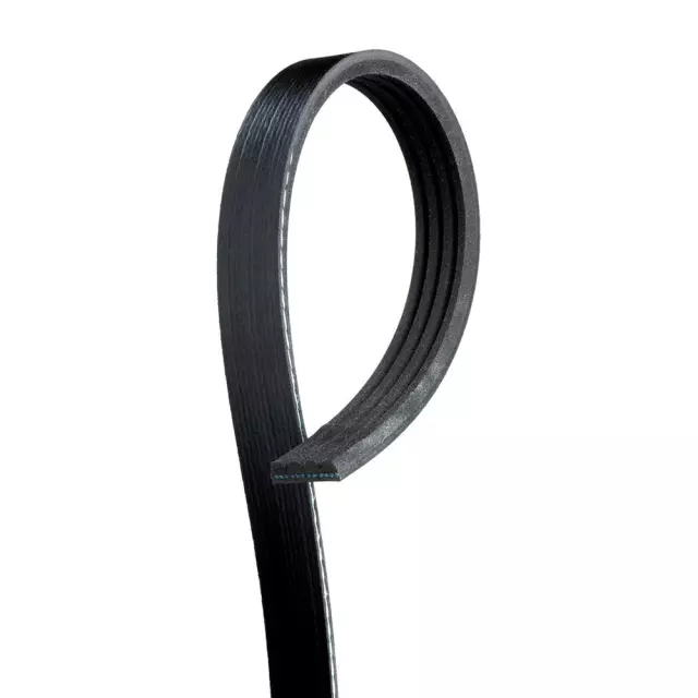 1999-2010 GM V-Ribbed Serpentine Belt 12576447 GM | GMPartsDirect.com