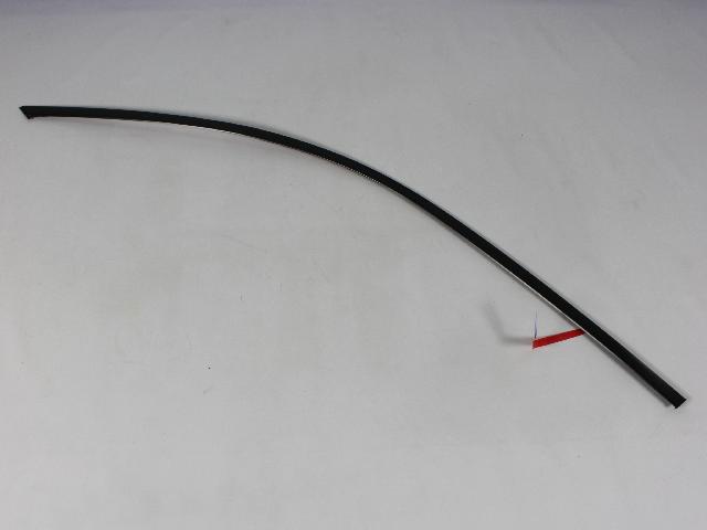 57010505AM - Day Light Opening Molding, Left 2011-2023 Dodge Charger ...