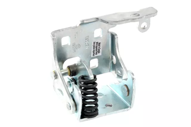 2007-2014 GM Front Driver Side Lower Door Hinge 20969645 | Payne ...