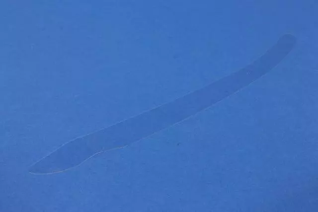 68210547AA - Anti-Chip Film, Left 2012-2024 Ram | Mopar Wholesale Store