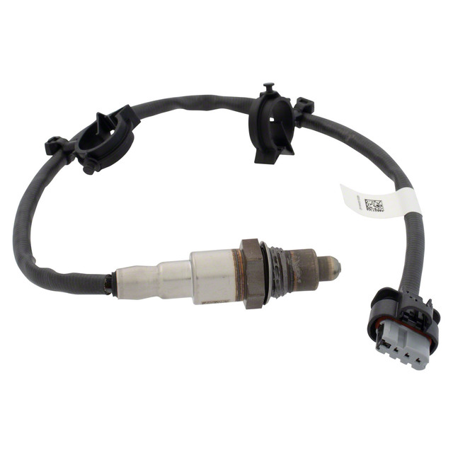 Exhaust Gas Oxygen Sensor