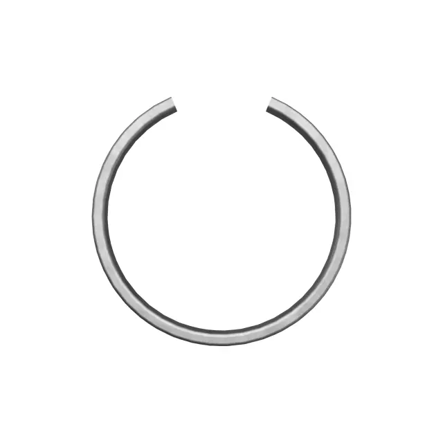 2012-2021 Ram Axle Shaft Snap Ring 68146592AA | Mopar eStore