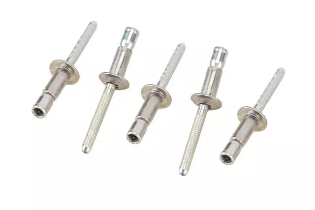 Multi-Purpose Rivet (THIS IS A SINGLE RIVET. NOT A PACKAGE OF FIVE ...