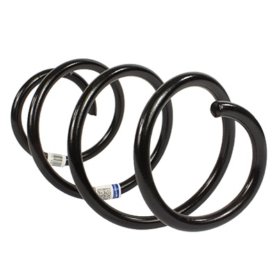 Ford Mustang Coil Springs | QuirkParts