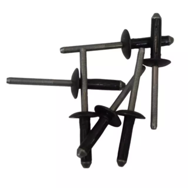 1999-2018 Ford License Plate Bracket Rivet -N811018-S100 | QuirkParts