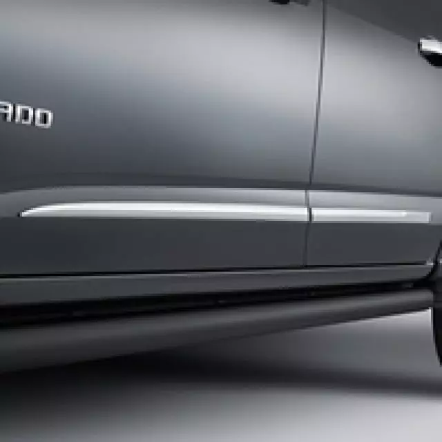 2017-2022 GM Exterior Trim, Bodyside Molding 84245937 GM ...