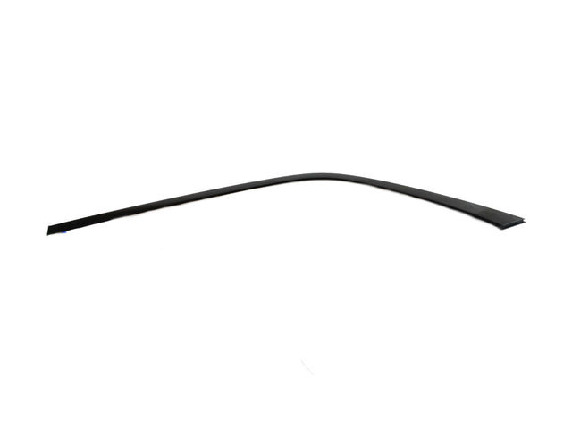 2014-2023 Chrysler 300 Day Light Opening Molding, Left 68224371AG ...