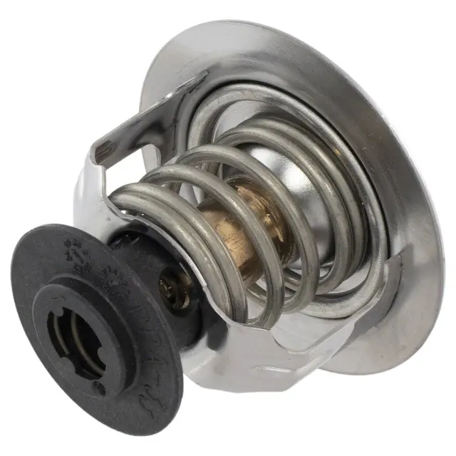 Lincoln Town Car Thermostat | Lasco Auto Parts