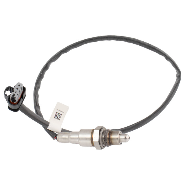 Exhaust Gas Oxygen Sensor