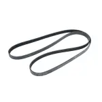 2005-2025 Mopar Serpentine Belt 68495977AA | Mopar eStore