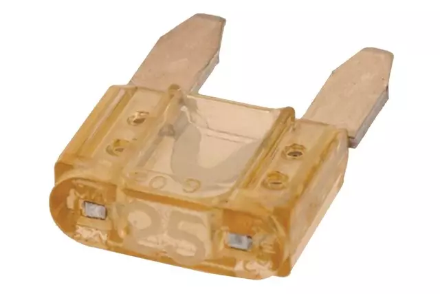 1991-2024 ACDelco 25 Amp Automotive Mini Fuse ATM25-25 | TascaParts.com