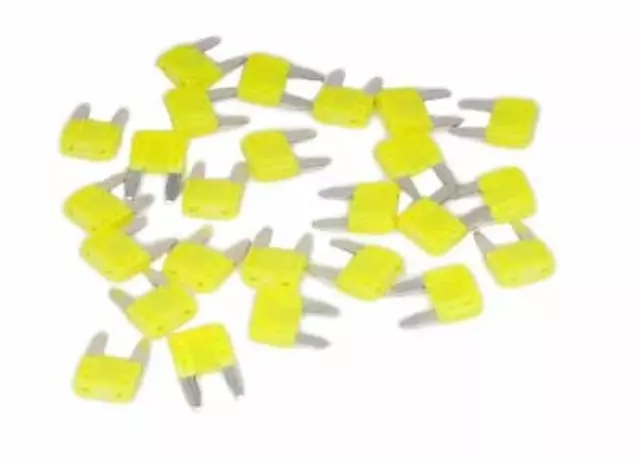1991-2024 ACDelco 20 Amp Automotive Mini Fuse ATM20 | TascaParts.com