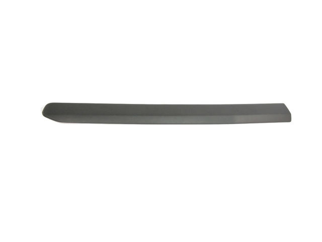 2015-2022 Ram ProMaster City Body Side Molding, Right 5YF68JXWAA ...