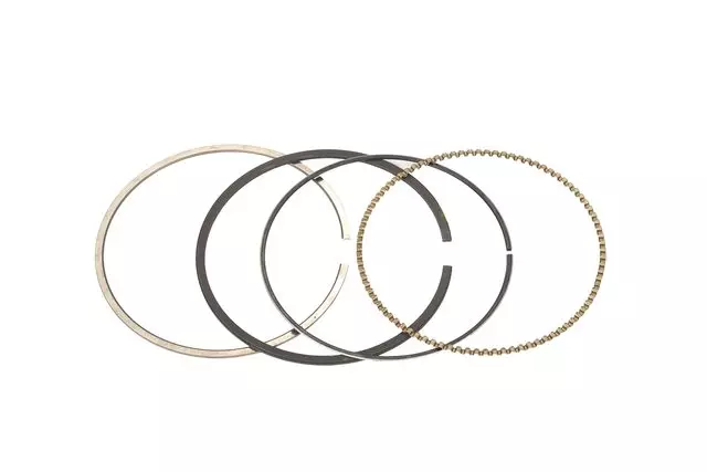 Engine Piston Ring Kit 12654438 | TascaParts.com