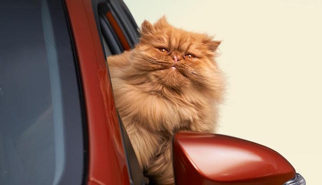 Does Toyota Make The Best Car Commercials? | Toyota Parts Center