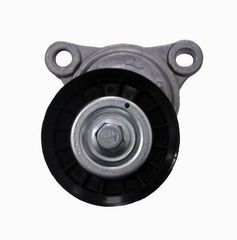 1999-2019 GM Tensioner 12609719 | Findlay Part