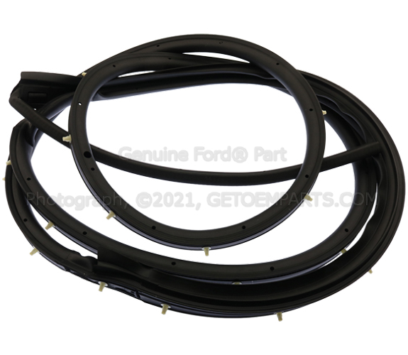 2018-2022 Ford EcoSport Weatherstrip Assembly - Door Openin - Passenger ...