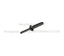2002-2025 FORD License Bracket Rivet W704342S300 | GetOEMParts.com
