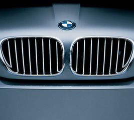 Genuine BMW 51-13-7-124-815 | Grille - Left | FREE Shipping on Most ...
