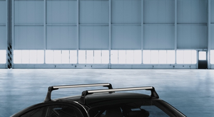 Genuine Porsche 996-801-105-00 |996/997 911 Coupe (1998-2012) Roof ...
