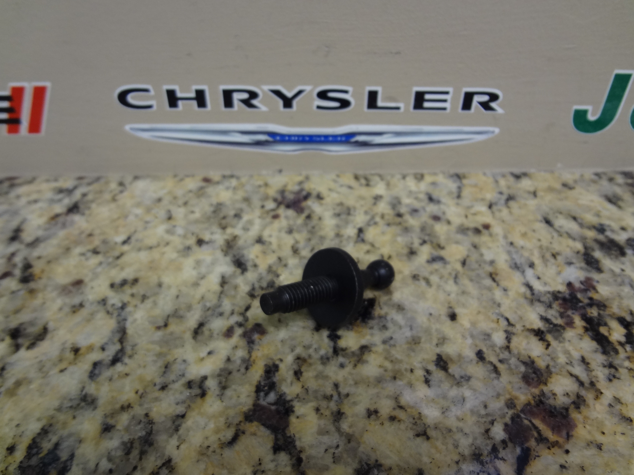 Lift Supports | Steve White Parts