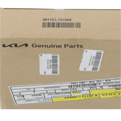 Hyundai - 28113-L1000 - Air Filter - 2020-2025 Hyundai | OEM Hyundai ...