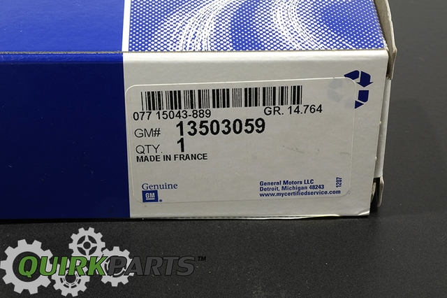 2007-2025 GM Courtesy Lamp 13503059 | QuirkParts