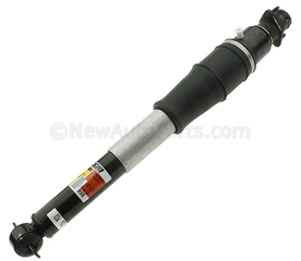 2006-2009 GM Shock Absorber - Passenger Side (RH) 19300026 | NewGMParts.com