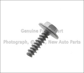 2013-2025 Ford Fog Lamp Screw W704874S439 | NewAutoParts.com