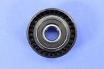 2014-2022 Mopar Idler Pulley 68433354AA | My Mopar Parts