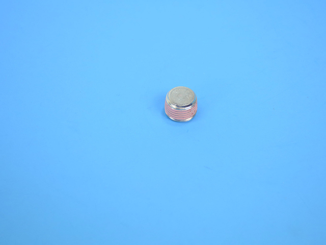 2002-2025 Mopar Pipe Plug, Left Cylinder Head 6036308AA | My Mopar Parts