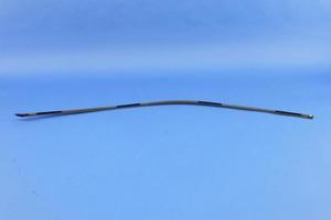 2014-2023 Chrysler 300 Day Light Opening Molding, Right 68224368AE | My ...