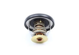 52028898AJ - Thermostat 2003-2025 Mopar | Mopar Factory Parts