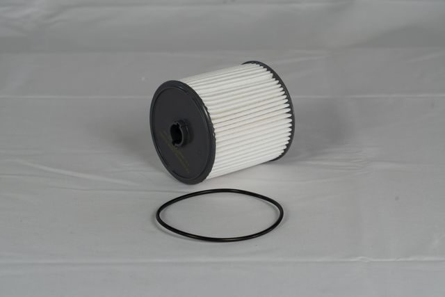 68436631AA - Fuel/Water Separator Filter Kit 2019-2024 Mopar | Mopar ...