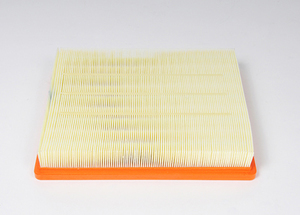 55560894 - Air Filter - 2010-2017 GM | World Parts Direct