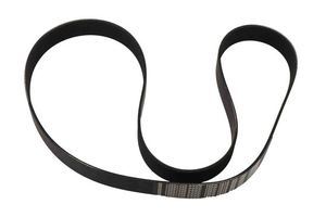 12667356 - V-Ribbed Serpentine Belt - 2016-2018 GM | World Parts Direct