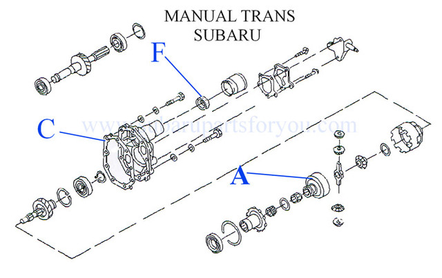 1984-2021 Subaru Side Seal 806732200 | Subaru Parts For You