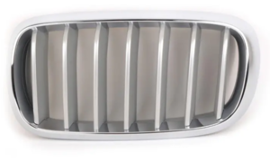 51-11-7-303-107 - Grille - 2014-2018 BMW X5 | BMWPartsHub