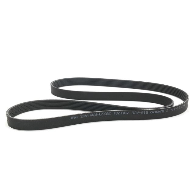 38920-RAA-A03 - OEM NEW Serpentine Drive Fan Belt 2.4L Fits 2003-2007 ...