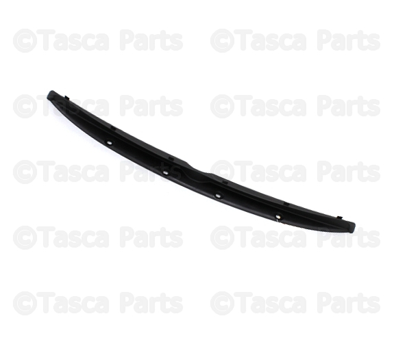 2003-2009 Dodge Filler Panel 55077896AC | TascaParts.com