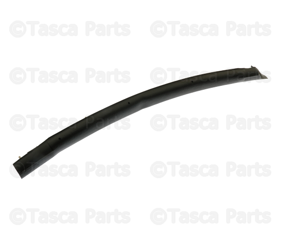 Side Door Window Weatherstrip 86527893 | TascaParts.com