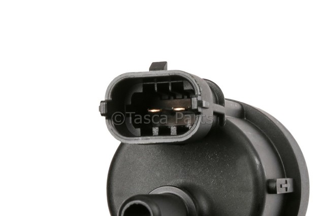 Pipe 55567454 | TascaParts.com