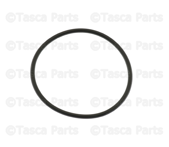 2012-2019 Fiat 500 Master Cylinder Seal 5191826AA | TascaParts.com