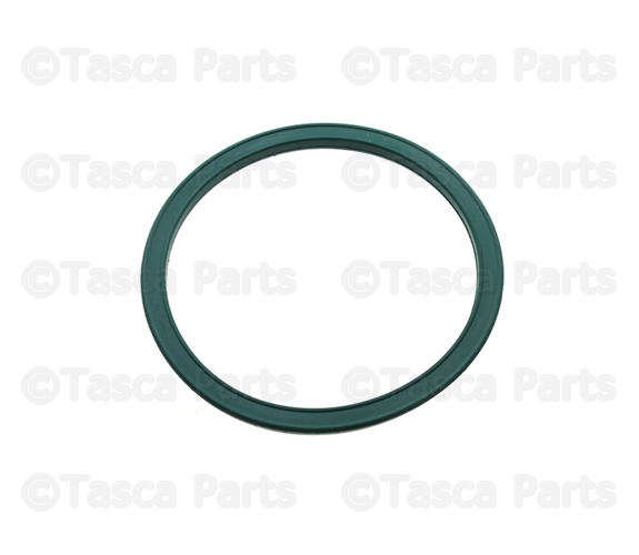 2003-2014 Nissan Murano Fuel Pump Packing 17342-CC20A | TascaParts.com
